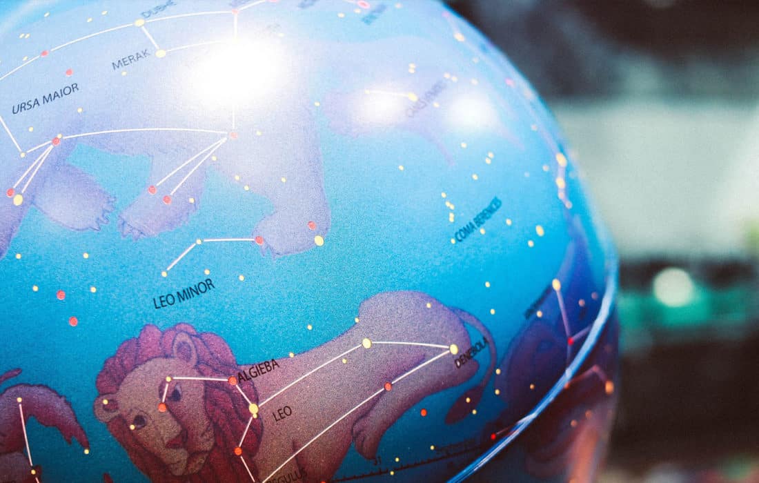 Yucca Root: Benefits, Uses, & More | The Brothers Apothecary